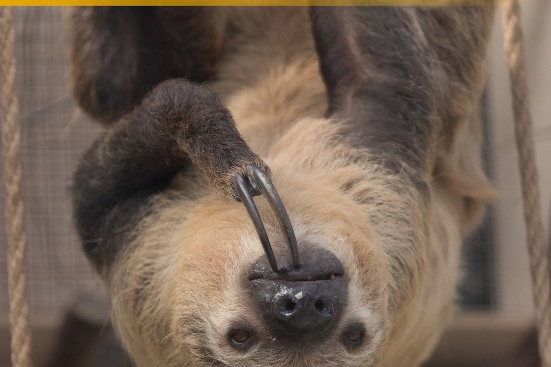 Выход через павильон "Экзотариум": Ленинградский зоопарк открыт